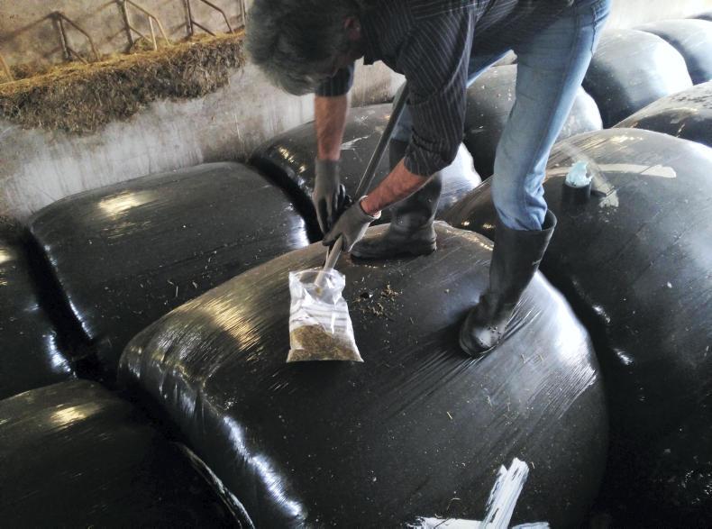 Silage sales drive quality testing - Premium