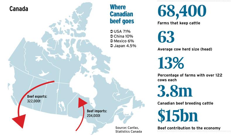 Canada’s place in the beef world - Premium