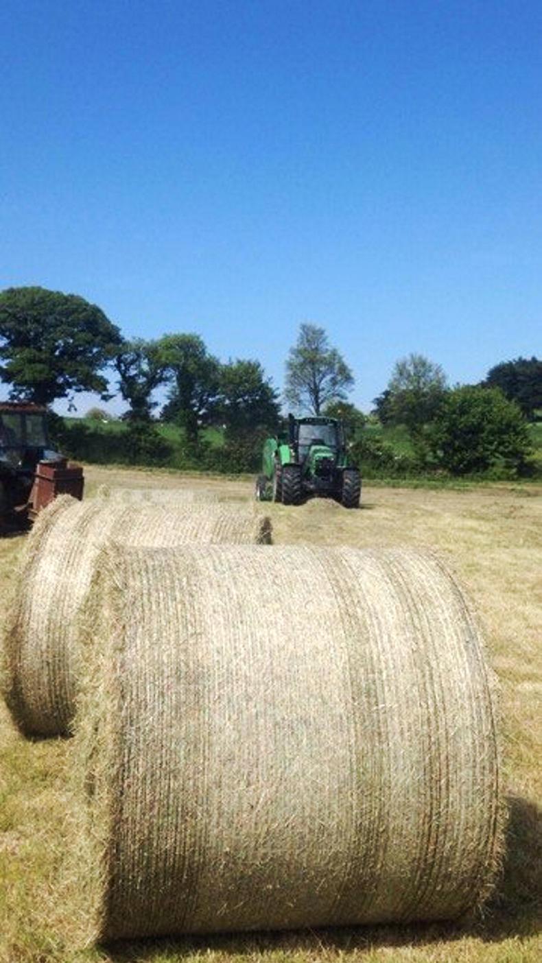 Farmers in Kerry, Meath and Cork race to save the first hay of 2017 - Free