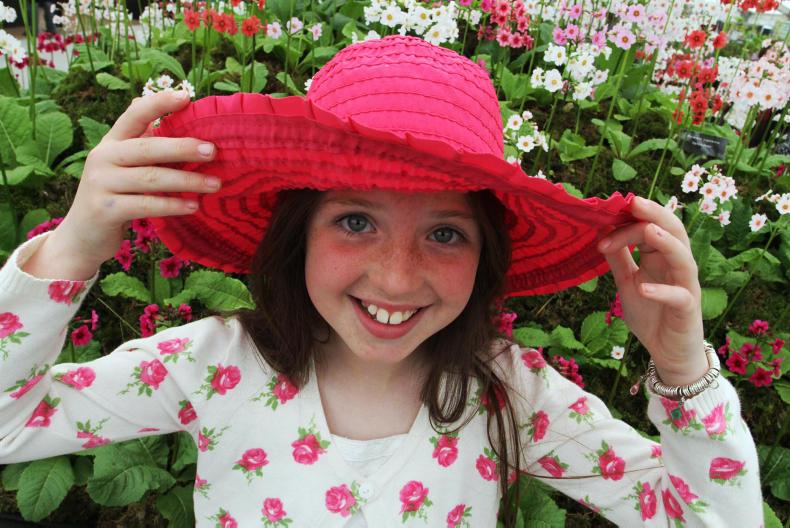 The highlights at Bloom 2017 - Premium