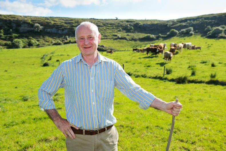 Irish Farmers Journal – For the Latest Farming News in Ireland