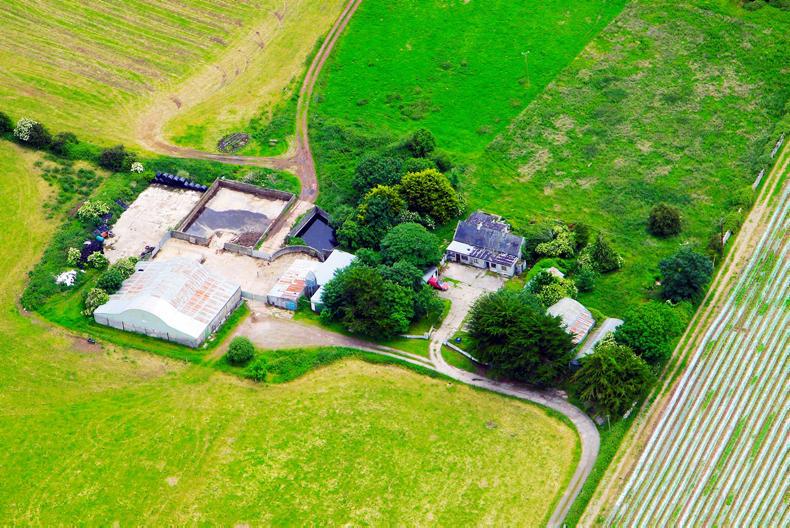 Watch: Appealing 90ac farm near Adare - Premium
