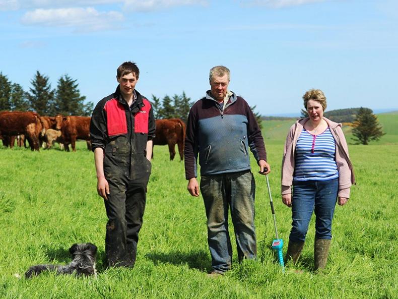 Farm Profit Programme: a family affair at North Cranna - Free