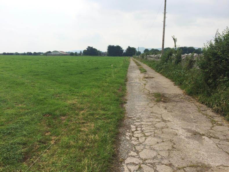 Watch: €965,000 for Limerick land - Premium