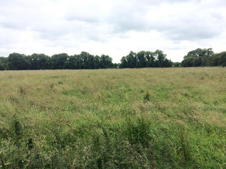 Magnificent in Meath - Premium