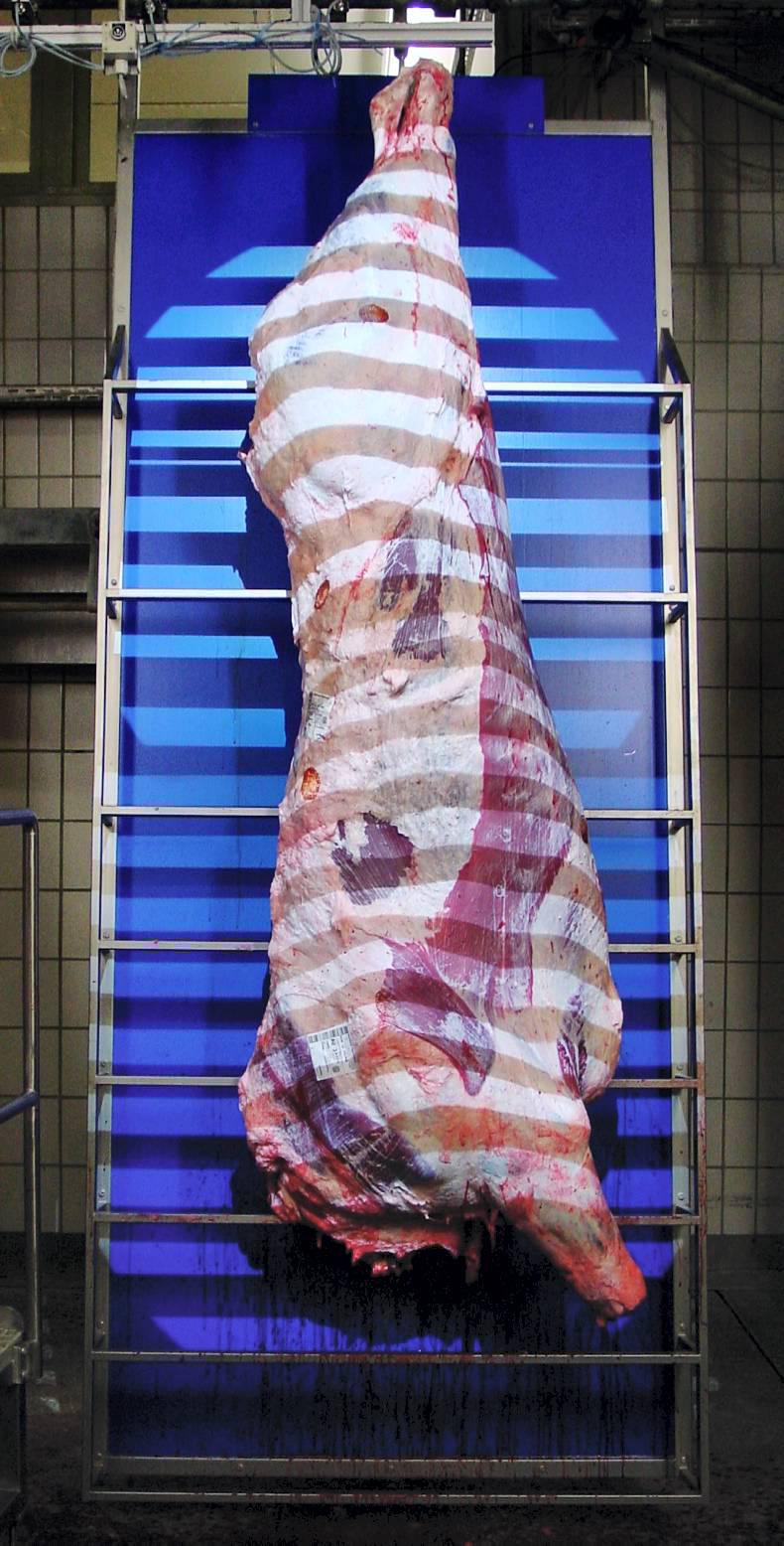 AHDB seeks views on EUROP grading - Premium