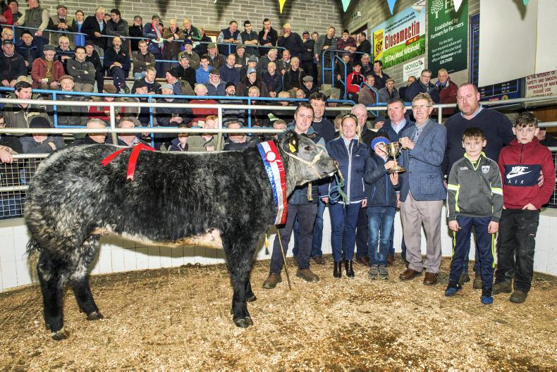 My farming week: Mervyn Busteed, Lisapooka, Bandon, Co Cork - 30 ...