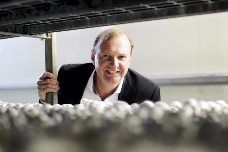 Codd Mushrooms sees profits fall in 2016 - Premium