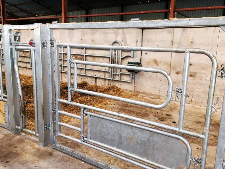 Preparation key ahead of calving season - Premium