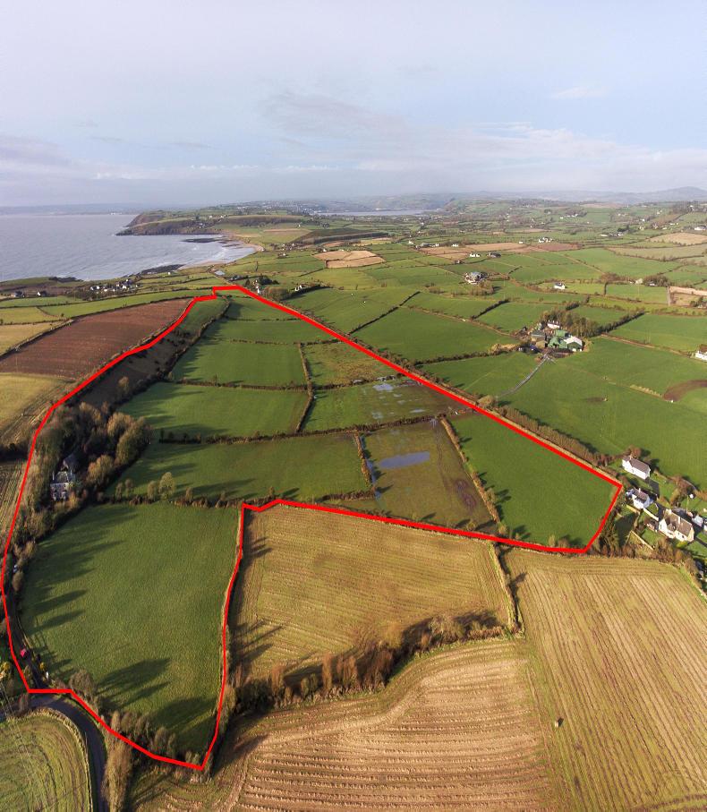 Super 60 acres in scenic Waterford - Premium