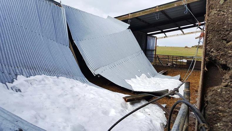 Storm Emma: assessing the damage to your shed - Premium