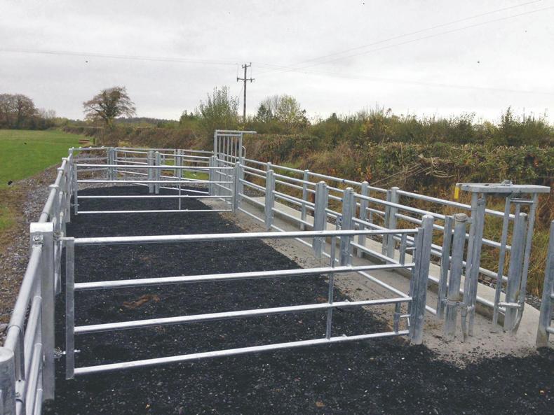 Long read: installing a state-of-the-art cattle handling unit for under ...
