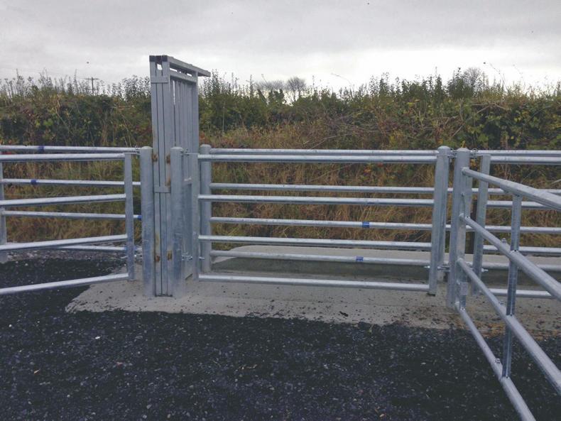 Long read: installing a state-of-the-art cattle handling unit for under ...