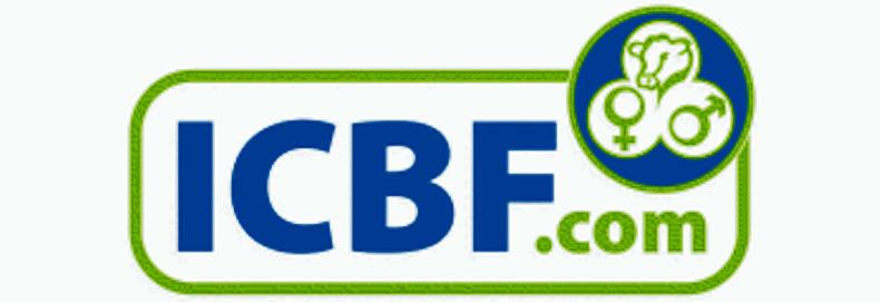 Directors change on ICBF board - Premium