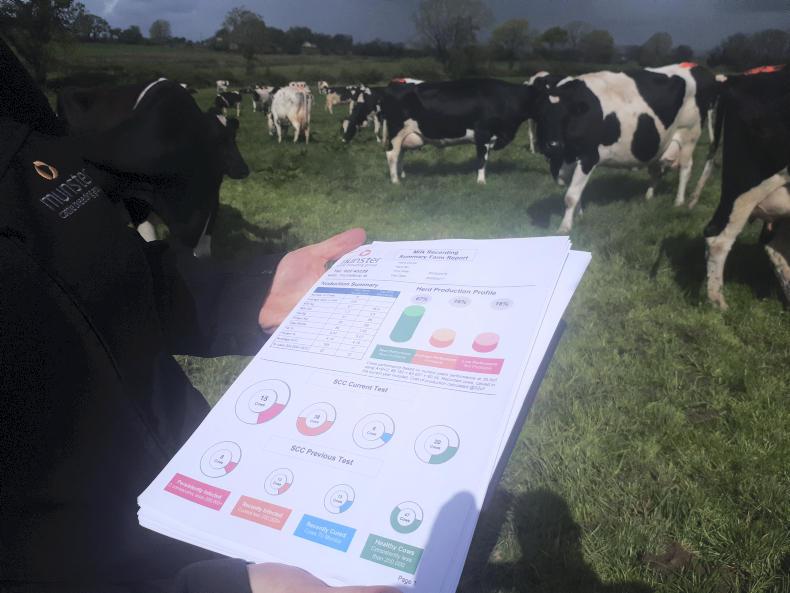 Milk recording – knowing what you need to know - Premium