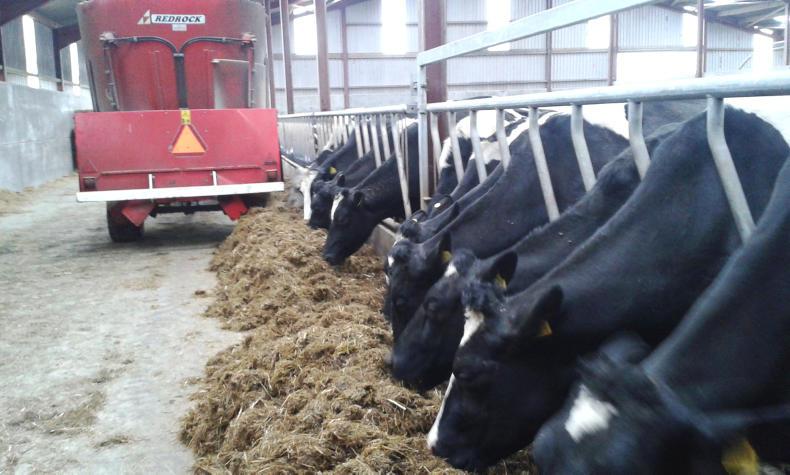 AHDB develops new autumn-calving index - Premium