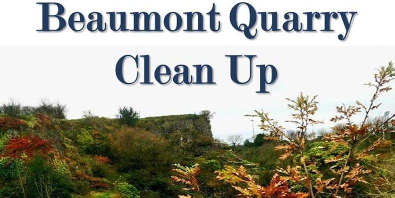 Clean up Cork - Premium