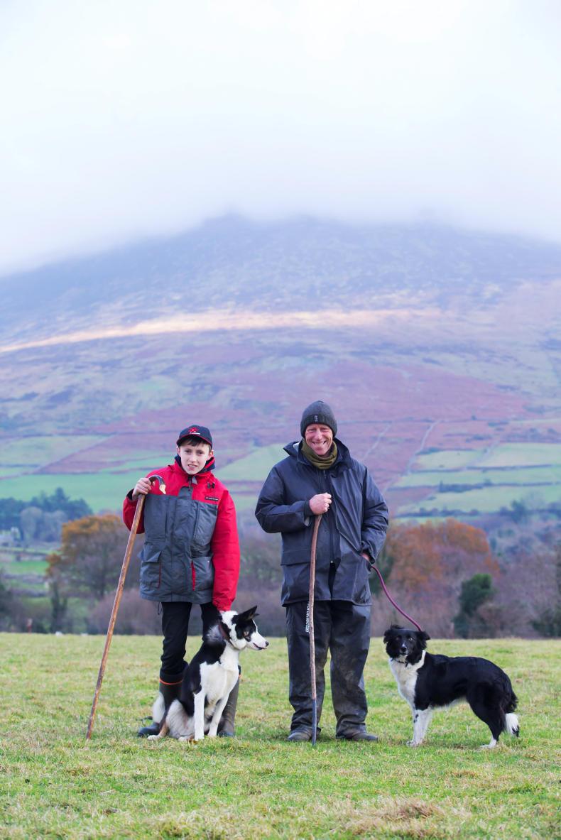 Around the country in pictures - Premium