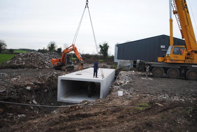 Watch: unusual underpass brings cows straight into rotary shed - Premium