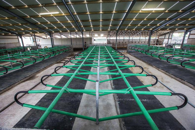 Easyfix’s global success story is built on in-house R&D - Premium