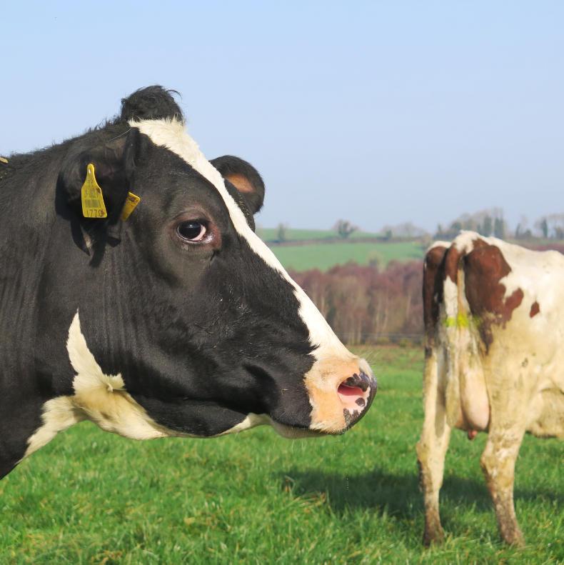 Focusing on grass utilisation in Monaghan - Premium