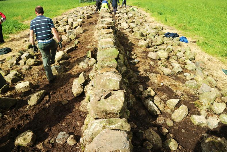 Environment: organic training programme and dry stone walling courses ...