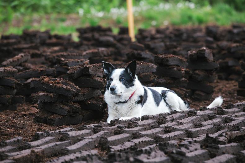 Turf cutters welcome bog de-designation - Premium