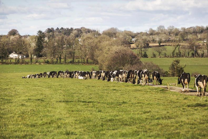 Teagasc launches new dairy infrastructure workbook