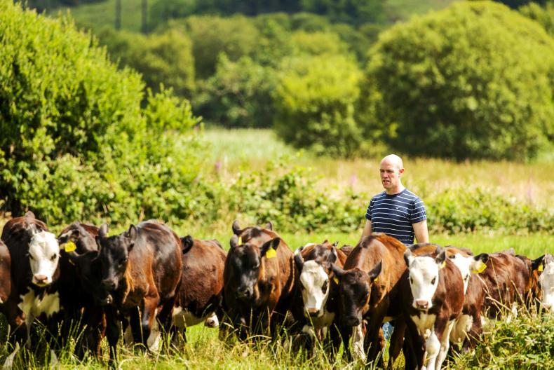 My farming week: Colm Stenson, Drumslara, Eslin, Co Leitrim
