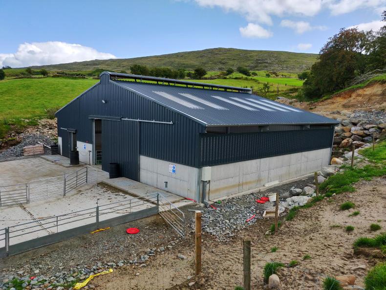 Watch: 170-ewe slatted shed for Mayo farmer - Premium