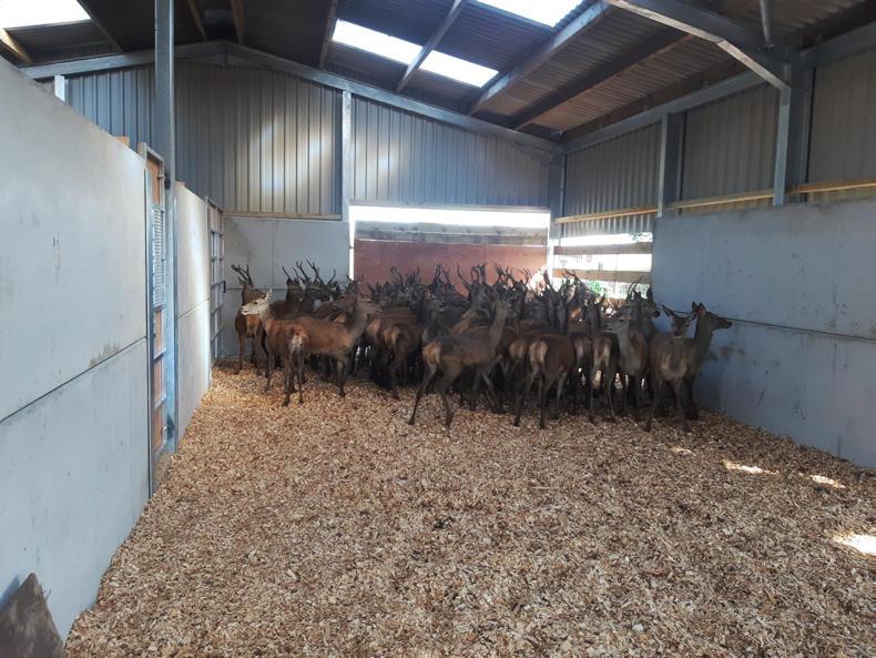 Back on track with the autumn workload - Premium