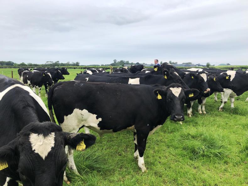 First-year results from the Teagasc Grange dairy calf-to-beef system ...