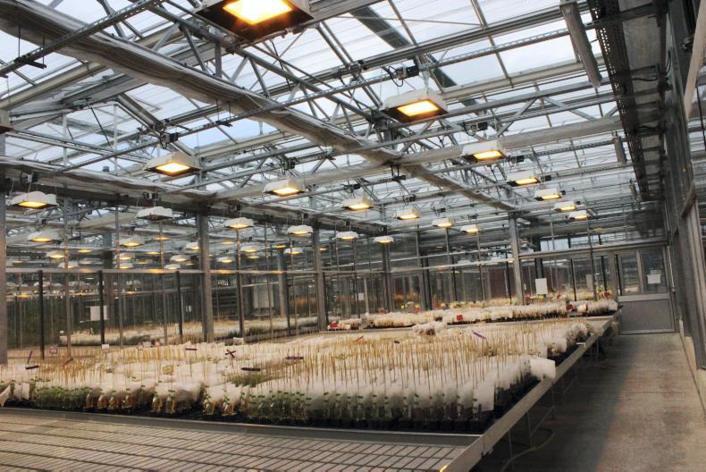 Plant breeding innovations can deliver Green Deal goals - Premium