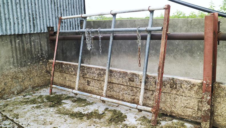 Creep feeding or creep grazing – maximising liveweight gain in calves ...