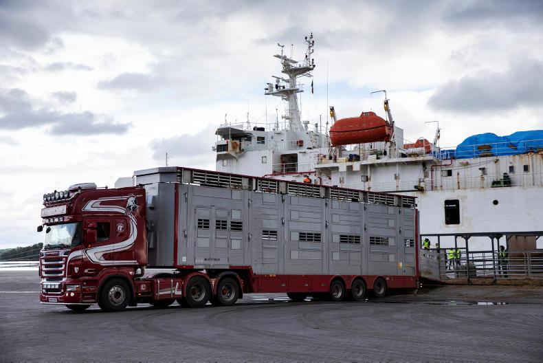 Department approval expected for fourth export boat - Premium