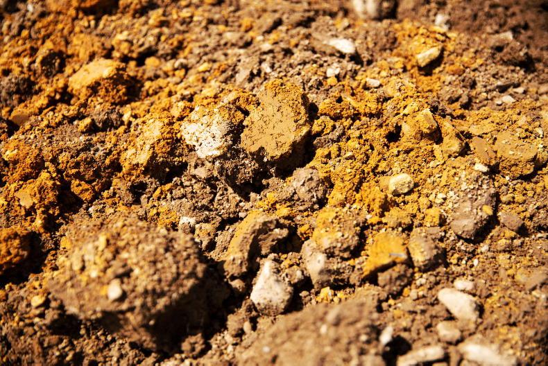 British soil to be banned from the EU from 2021 - Premium