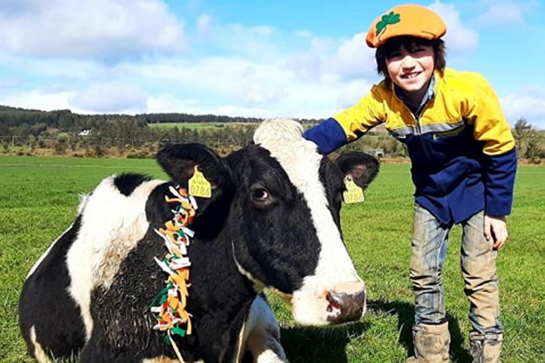 St Patrick's Day: share your farm photos - Free