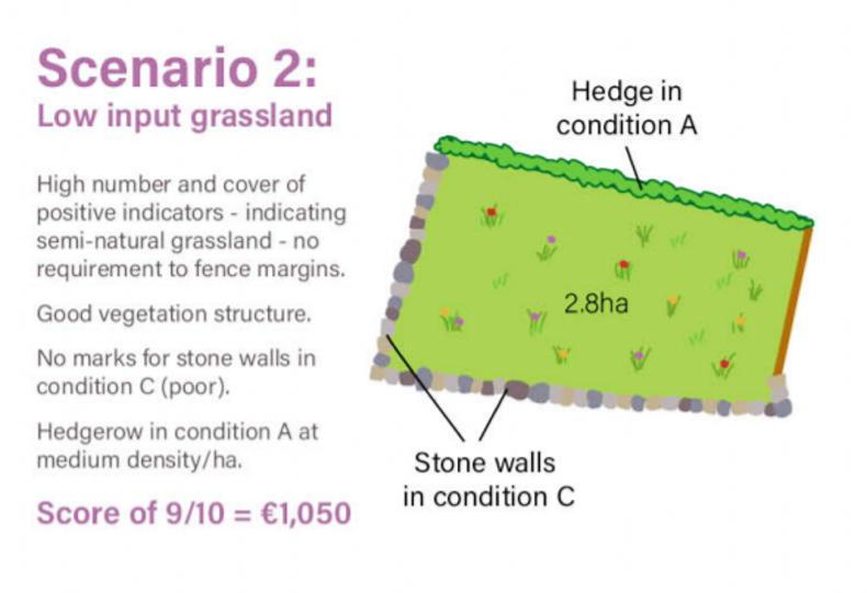 REAP: selecting measures and calculating the likely level of payment - Free
