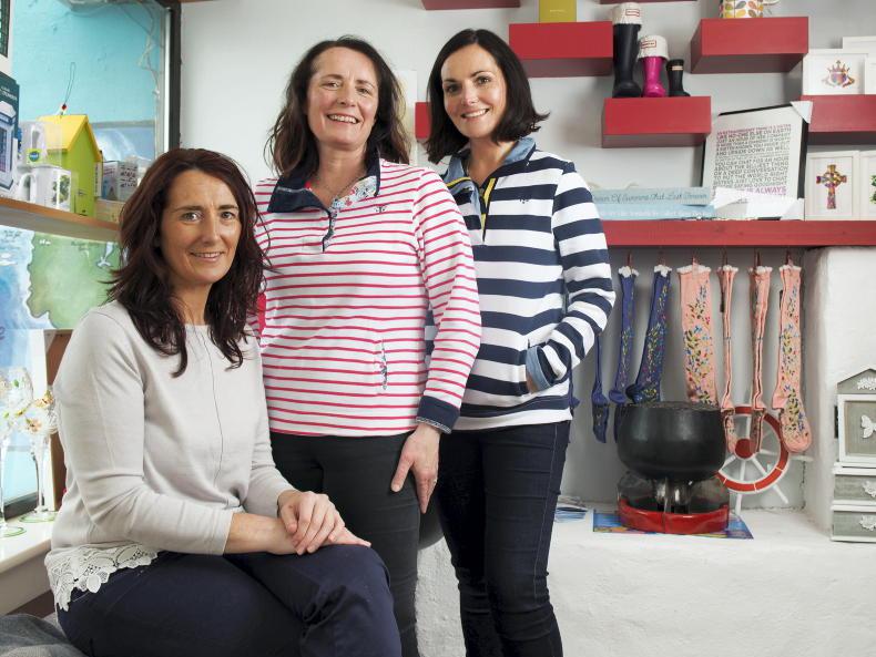 ‘Rural abattoir vets are completely overstretched’ - Martina Calvey ...
