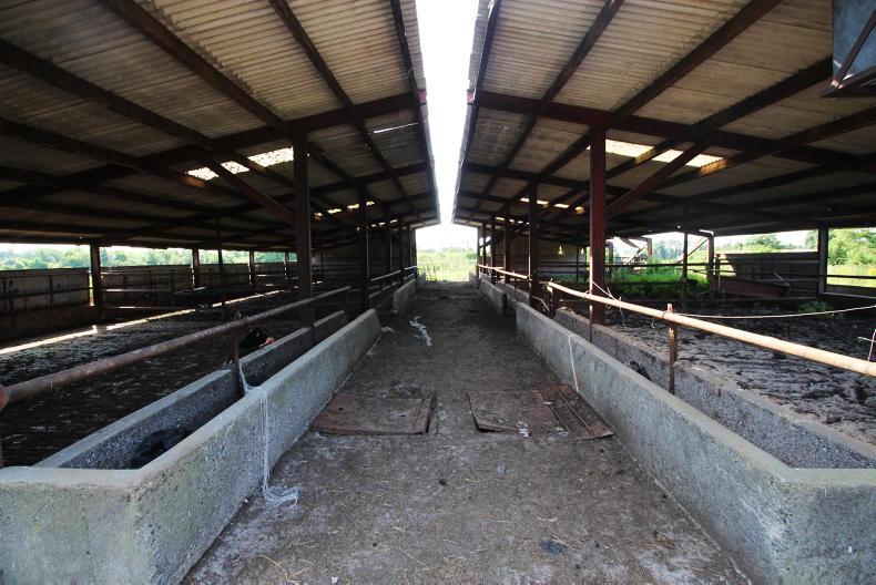 52ac with beef shed for auction in Meath - Free