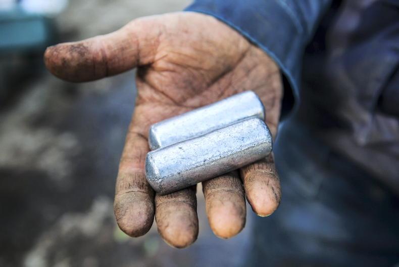 Beef Management: tetany issues, spreading slurry and farm safety - Free