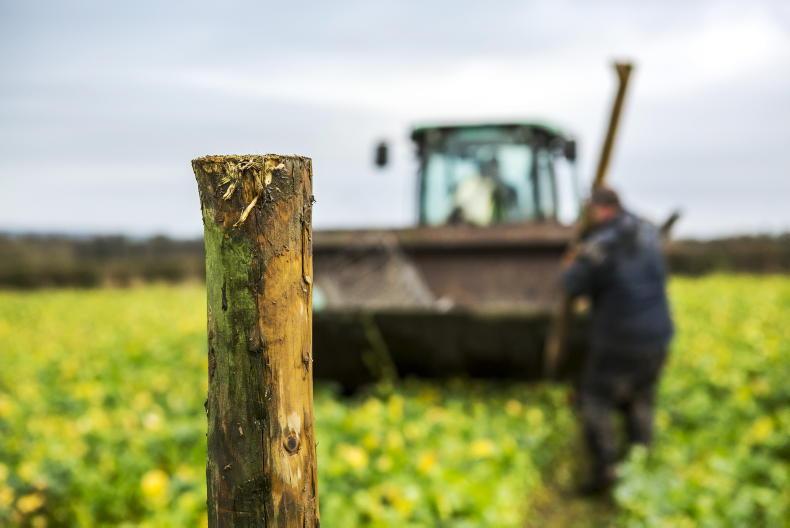 Rural Social Scheme to be reviewed next year - Free