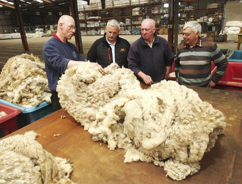 Ulster Wool predicts a more positive outlook for 2022 - Free