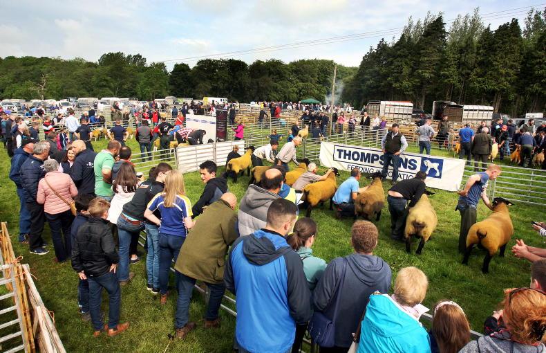 Northern Ireland diary of events - Free