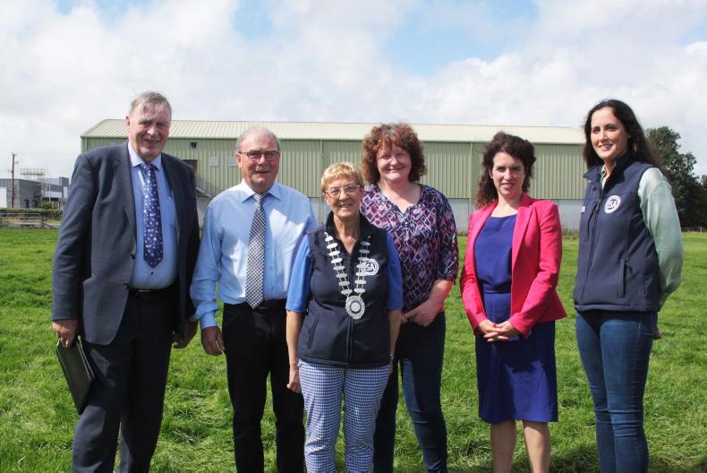 Behind the scenes of the summer show: Mountbellew Show - Free