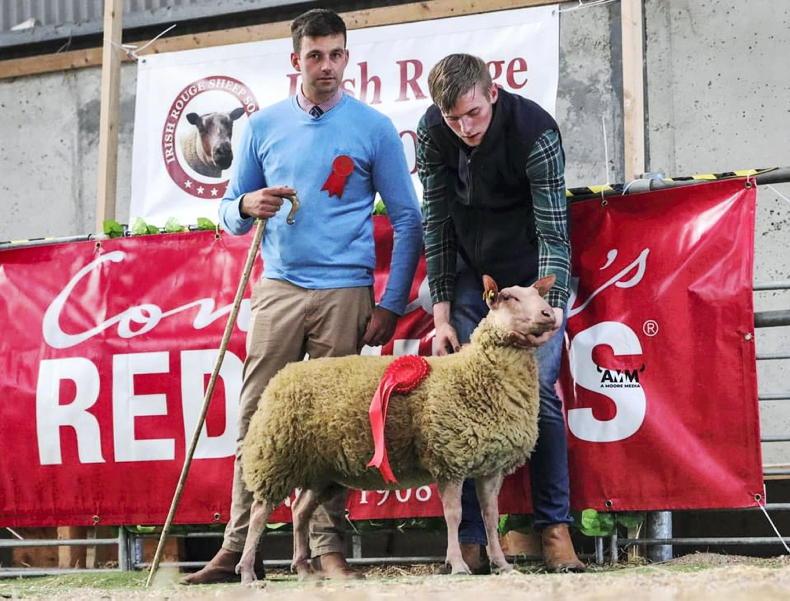 Rouge hit record €1,470 in Tullamore - Free