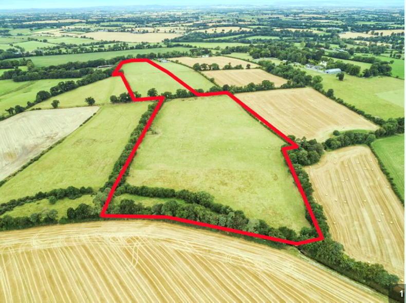 23ac of good land for auction in Carlow - Free