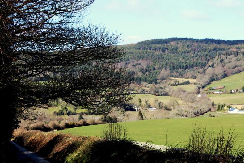 800% rise in farmers participating in NPWS farm plan scheme - Free