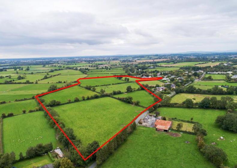 Irish Farmers Journal – For the Latest Farming News in Ireland