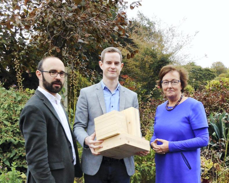 Rotary Ireland launches major environmental award - Free